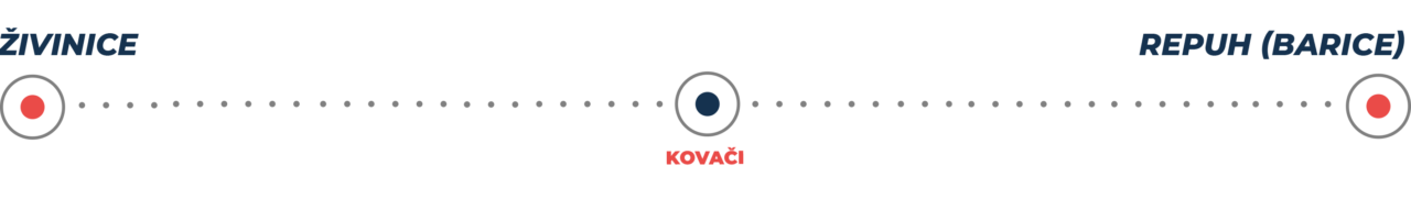 21 (Živinice – Repuh) – Gradski i prigradski saobraćaj Tuzla