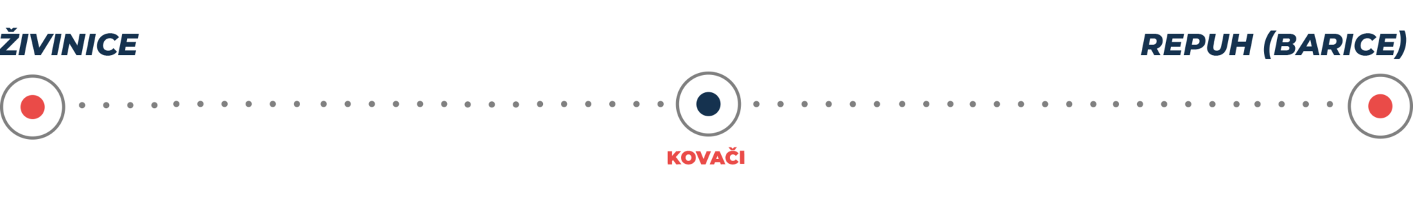 21 (Živinice – Repuh) – Gradski i prigradski saobraćaj Tuzla